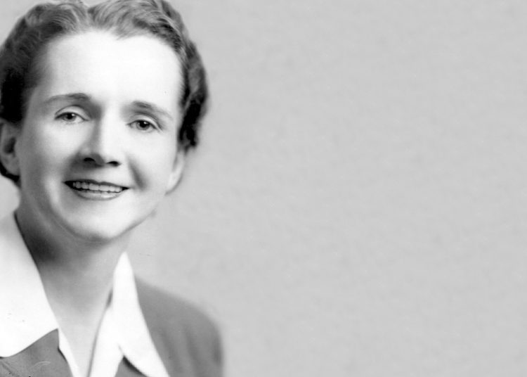 Silent Spring By Rachel Carson Is An Environmental Classic | Whole People