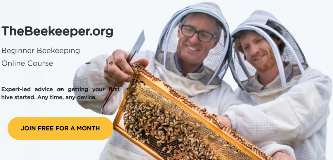 6 Online Beekeeping Classes [FREE] | Whole People