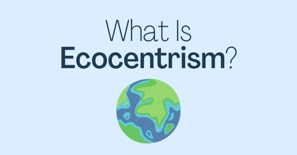 Whole People | Sustainable Living Tools & Ideas